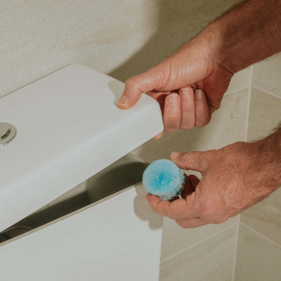 Toilet Block Starter Kit | Sustainable & Eco (previously Tirtyl ...